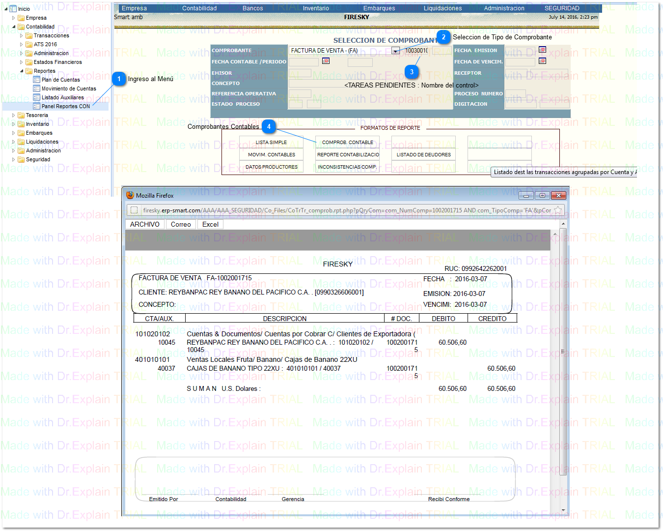 Consulta Contable de Facturas